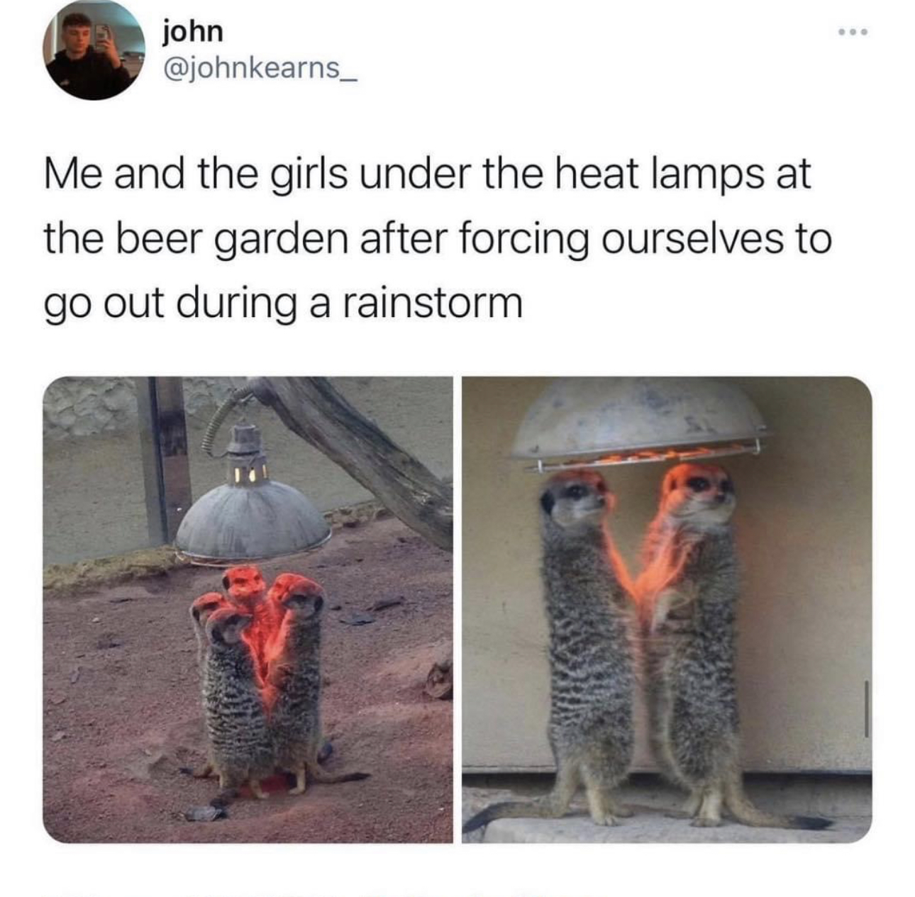 Memes Blaster 💣 - Y99